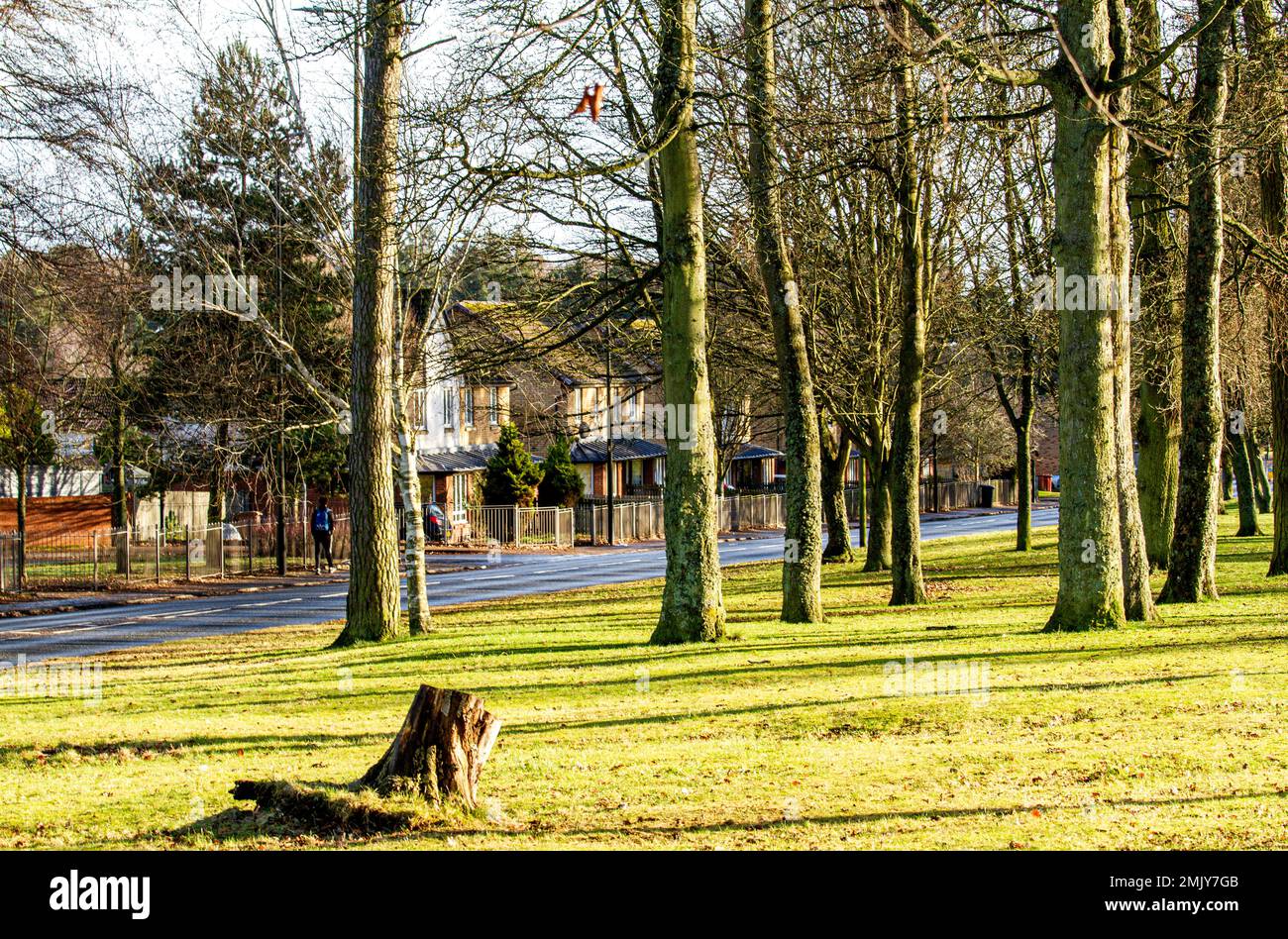 Housing estate dundee hi-res stock photography and images - Alamy