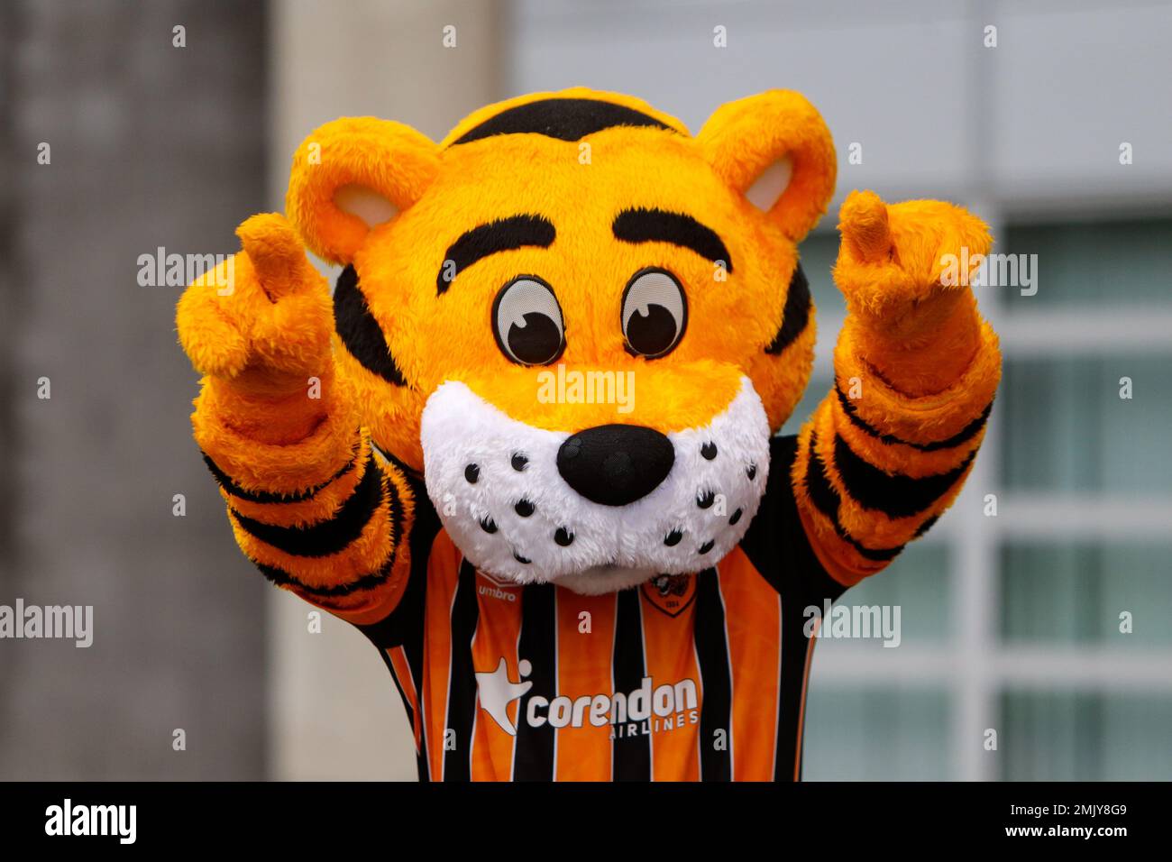 The Hull City mascot before the Sky Bet Championship match Hull City vs ...