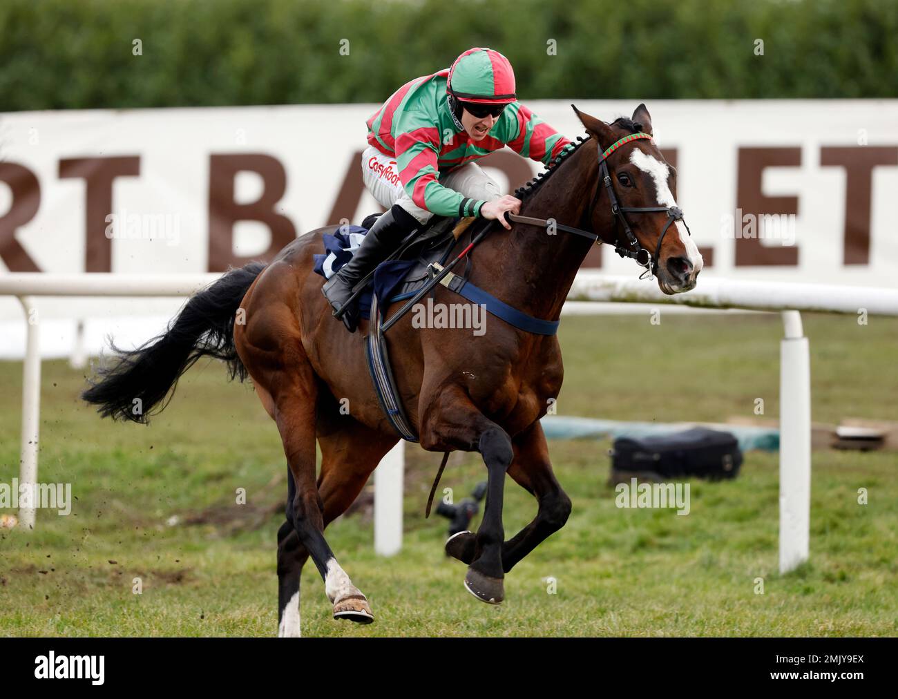 Tommy's oscar horse hi-res stock photography and images - Alamy