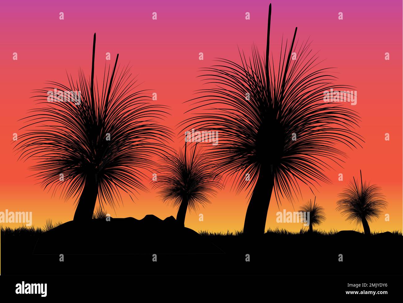 Balga grass plant Stock Vector Images - Alamy