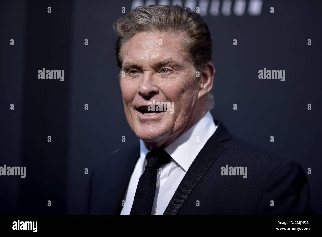 David Hasselhoff attends a special screening of "John Wick: Chapter 3 ...
