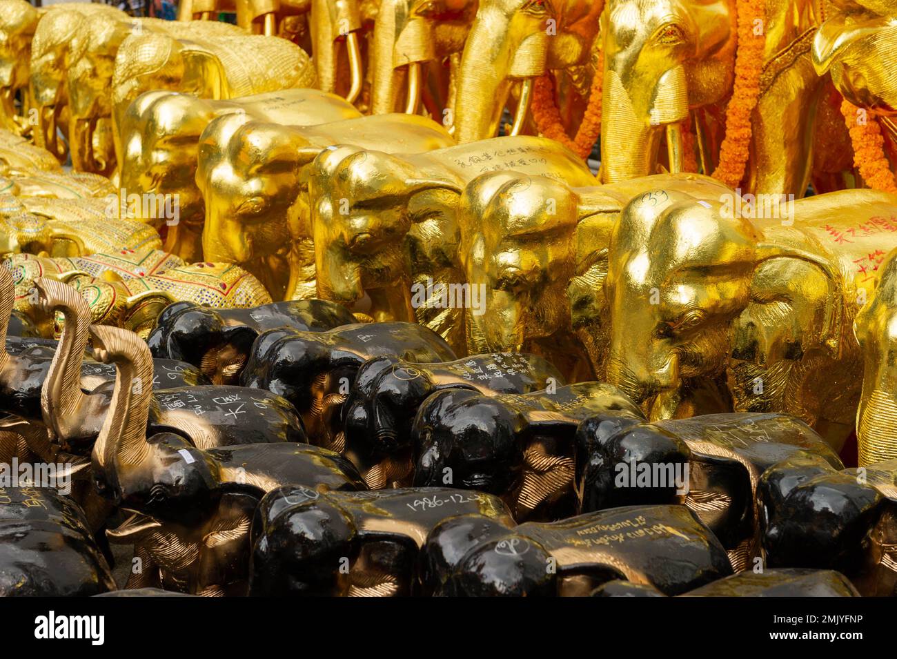 Elephant erawan hi-res stock photography and images - Alamy