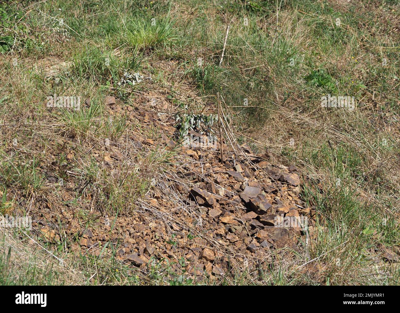 Rocky soil also known as gravelly or stony Stock Photo - Alamy