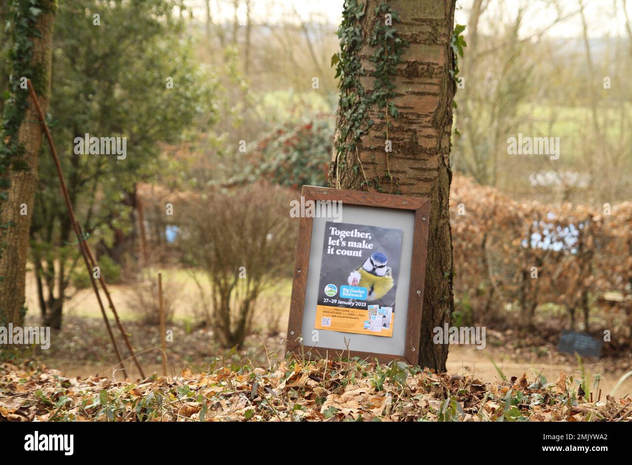 Flatford, UK. 28th Jan 2023. The RSPB Big Garden Birdwatch Weekend ...