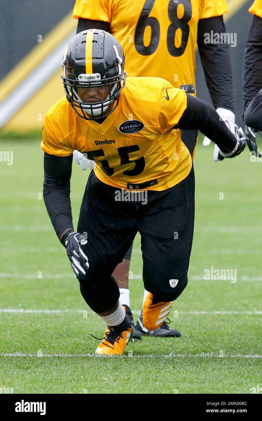 Pittsburgh Steelers linebacker Devin Bush (55) during NFL football ...