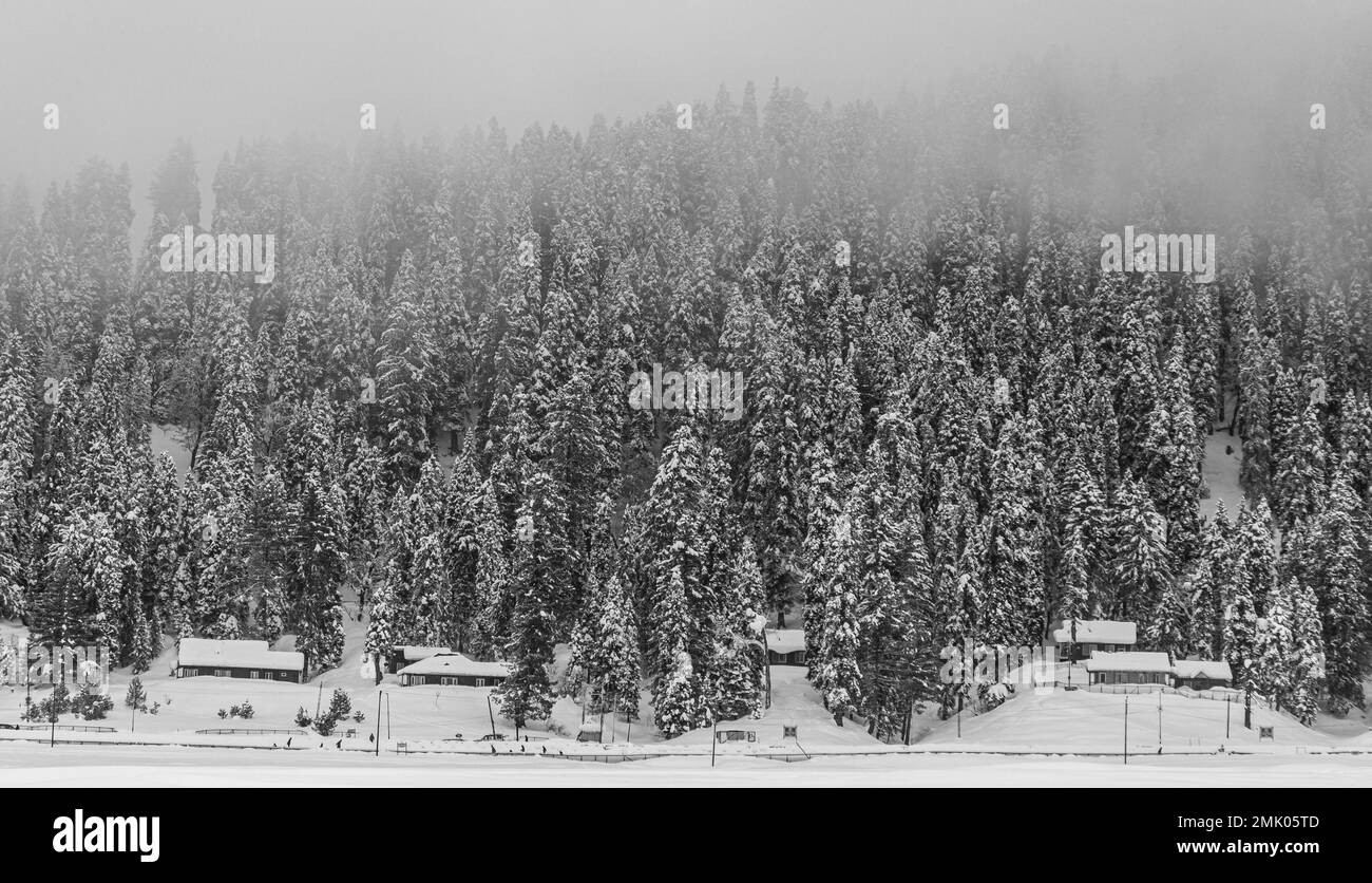 Beautiful view of Gulmarg during winter season surrounded by snow ...