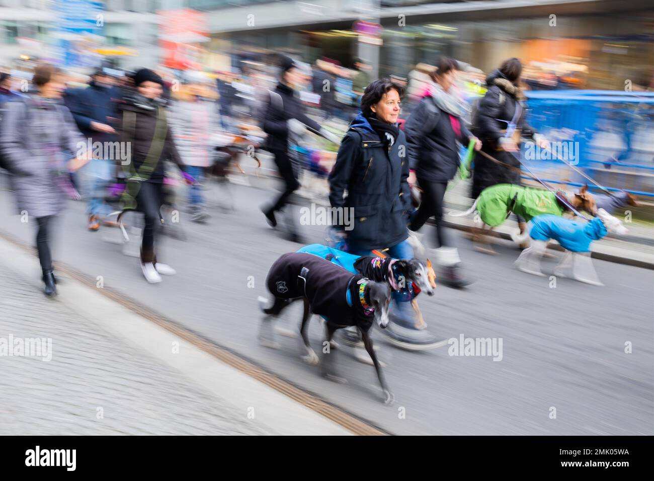 Berlin, Germany. 28th Jan, 2023. A woman participates with her dogs in ...