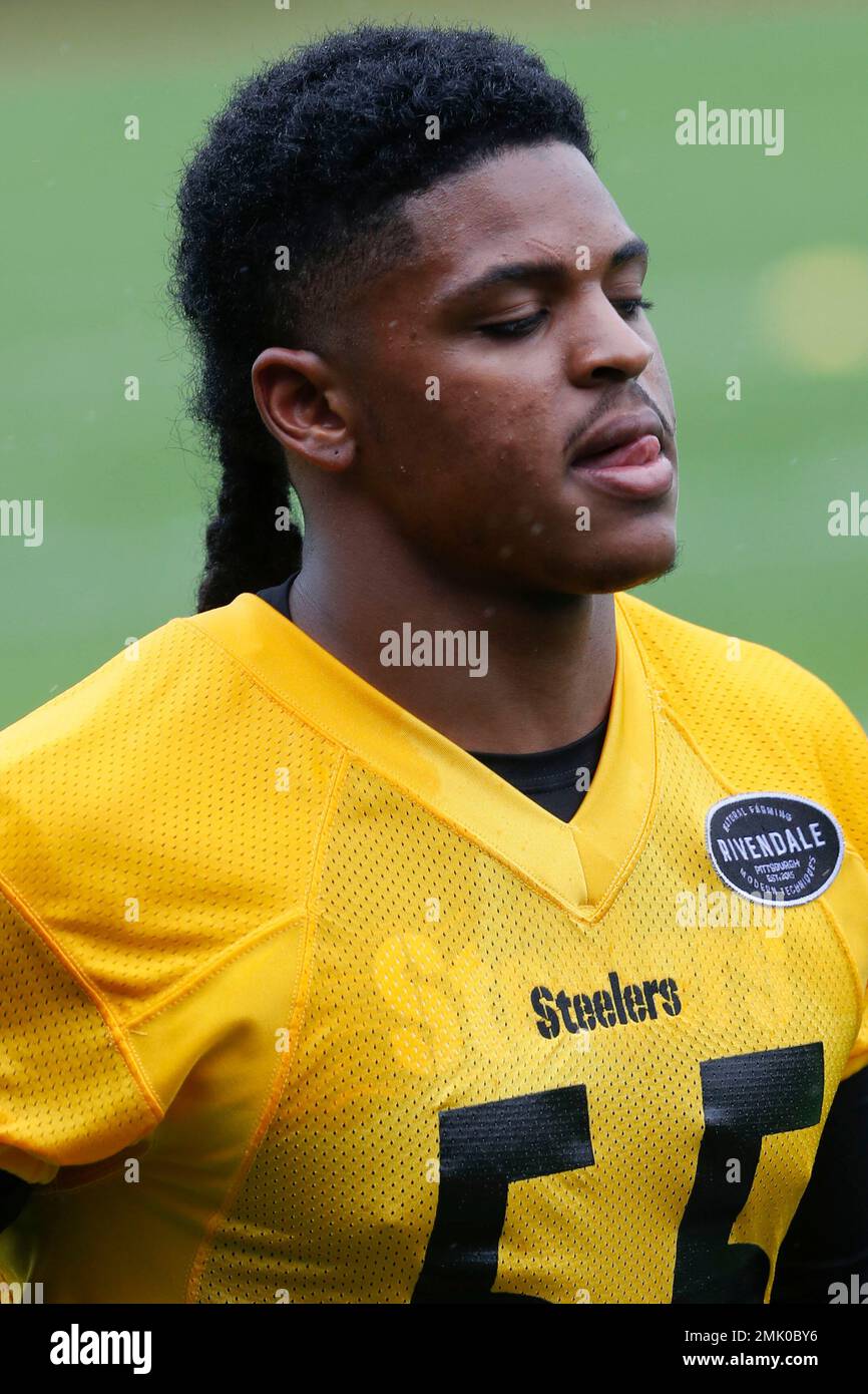 Pittsburgh Steelers linebacker Devin Bush (55) during NFL football ...