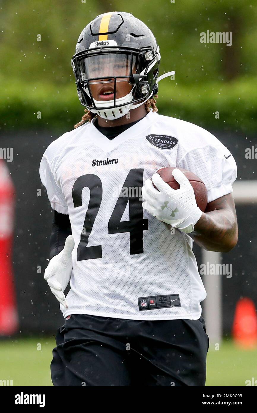 Pittsburgh Steelers running back Benny Snell Jr. (24) during NFL ...