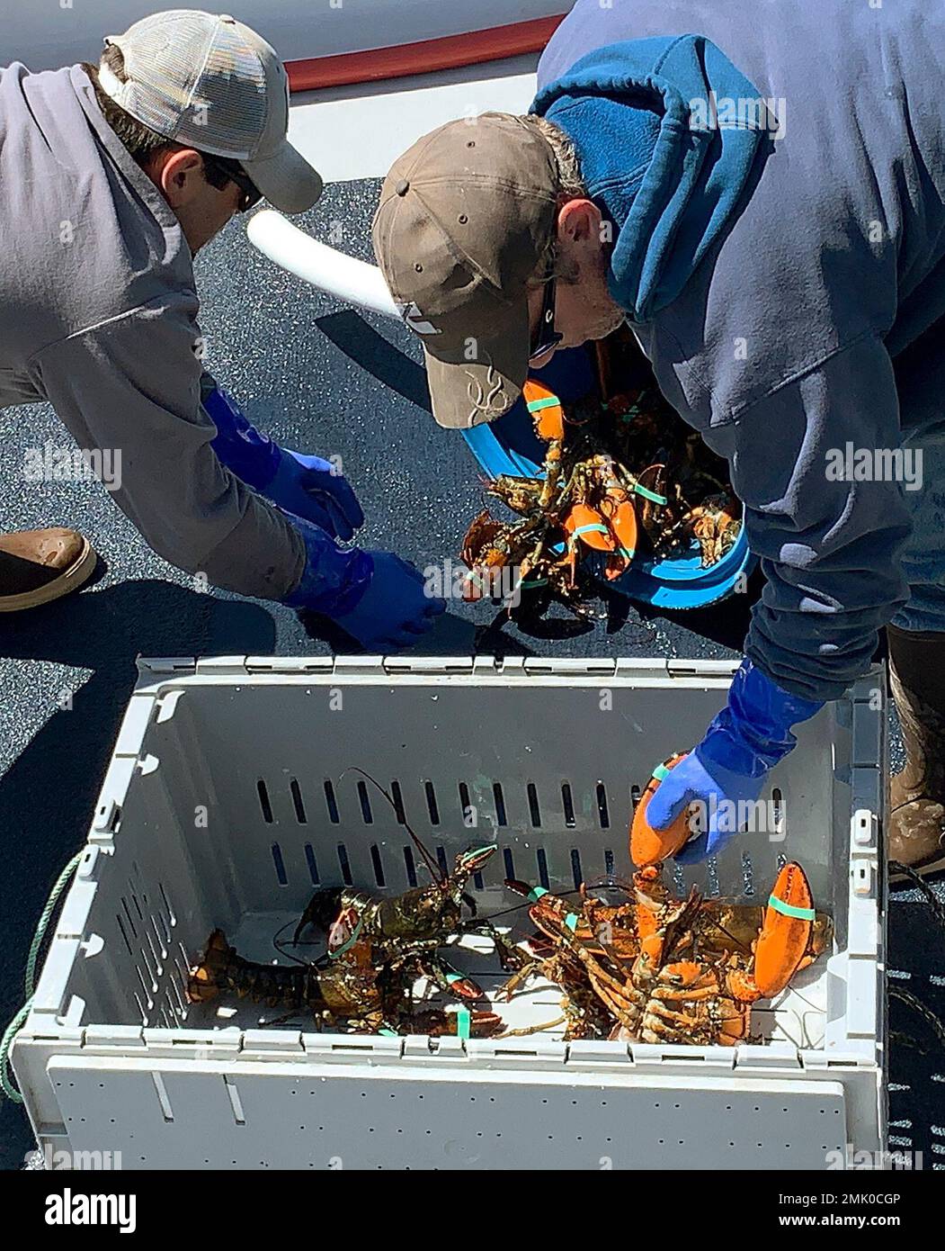 In this Thursday, May 9, 2019, photo, lobsterman Bryan Tufts, right ...