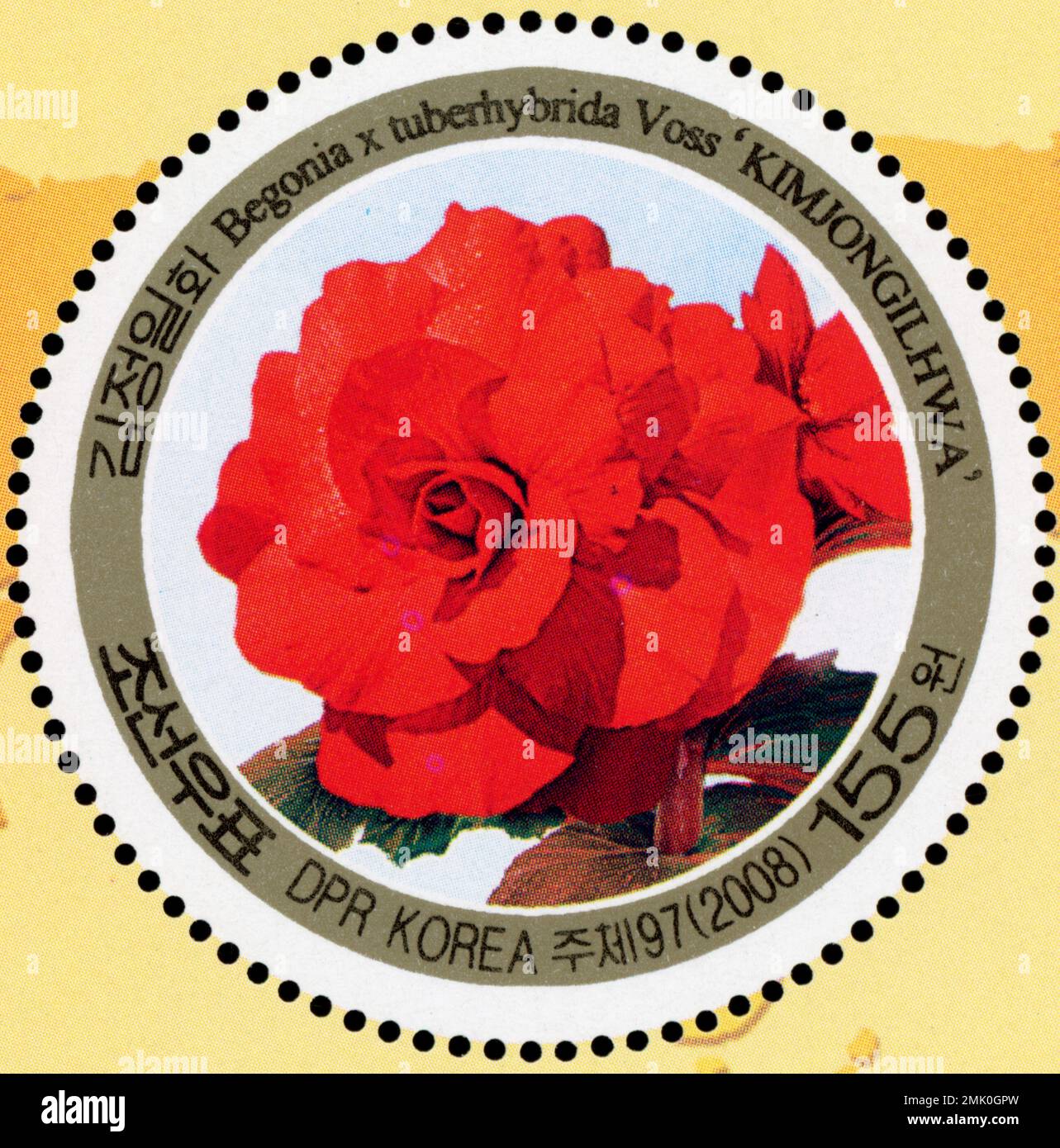 Kim jong ils flower hi-res stock photography and images - Alamy