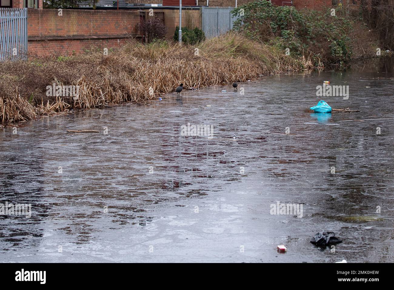 Slough, Berkshire, UK. 28th January, 2023. Ice on the Slough Arm of the ...