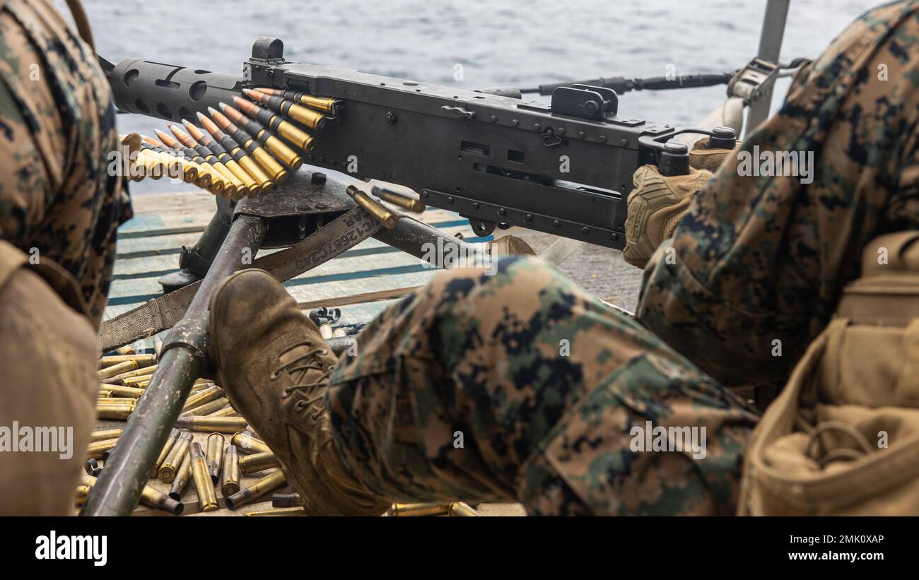 U.S. Marines with Battalion Landing Team 2/5, 31st Marine Expeditionary ...