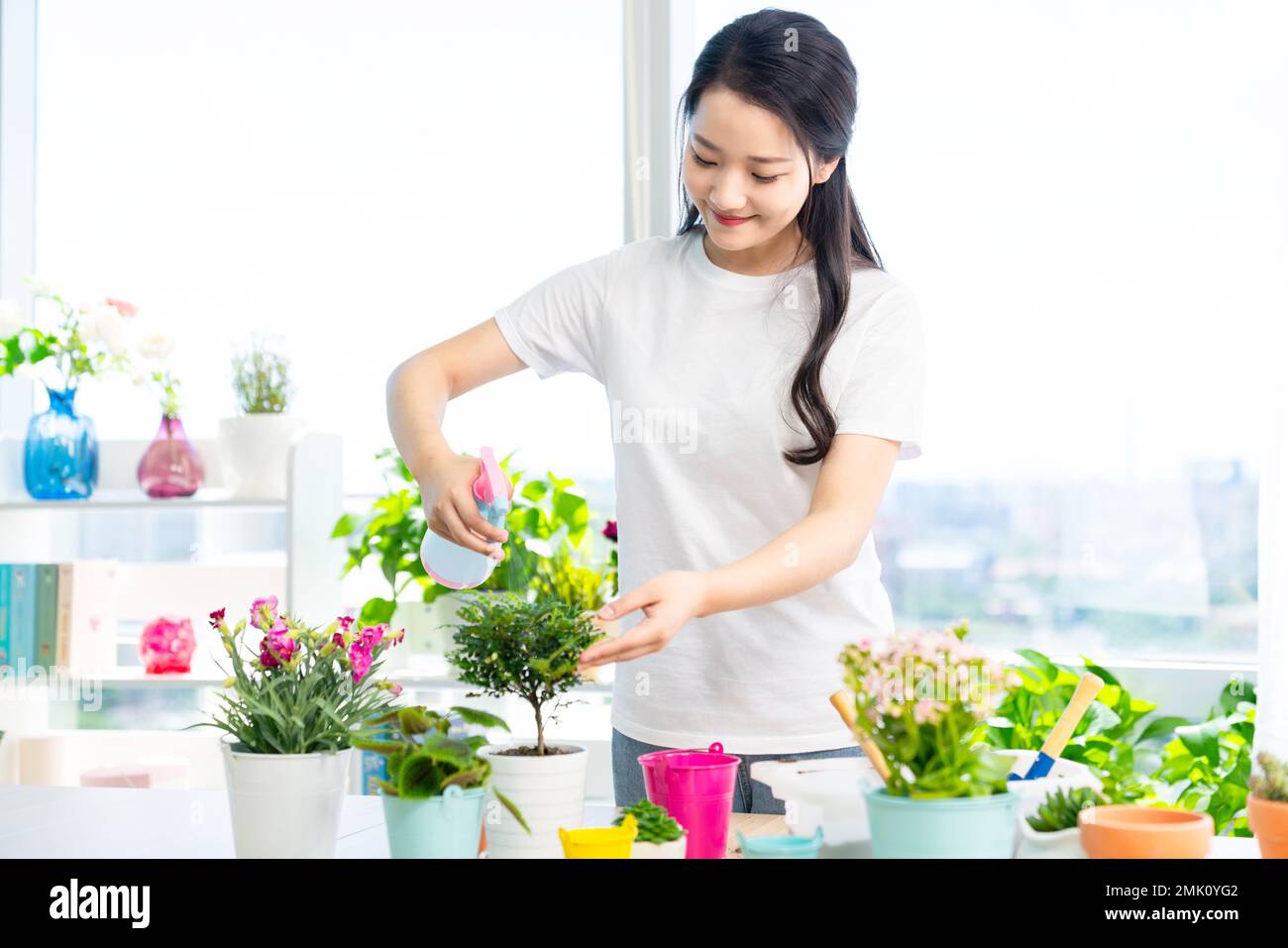 Woman planting watering potted plants hi-res stock photography and ...