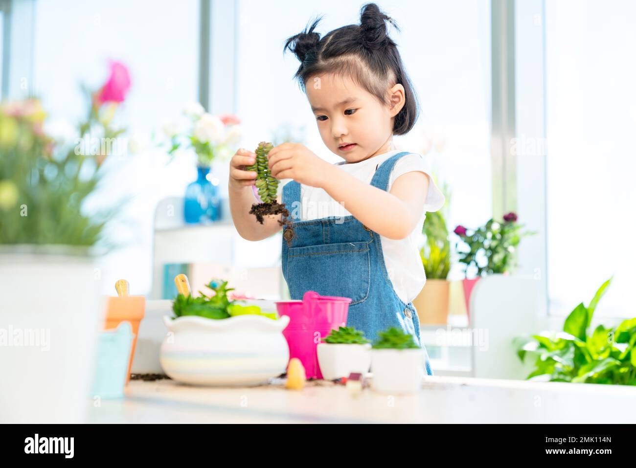 Happy little girl grow pot at home Stock Photo - Alamy