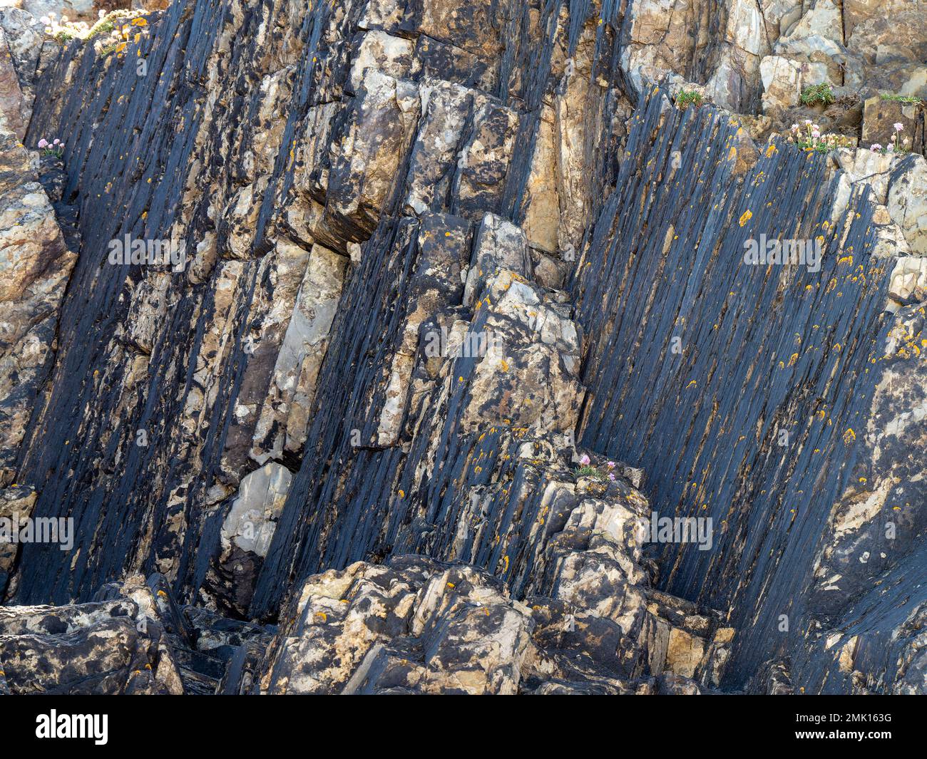 A variety of geological strata as a background Stock Photo - Alamy
