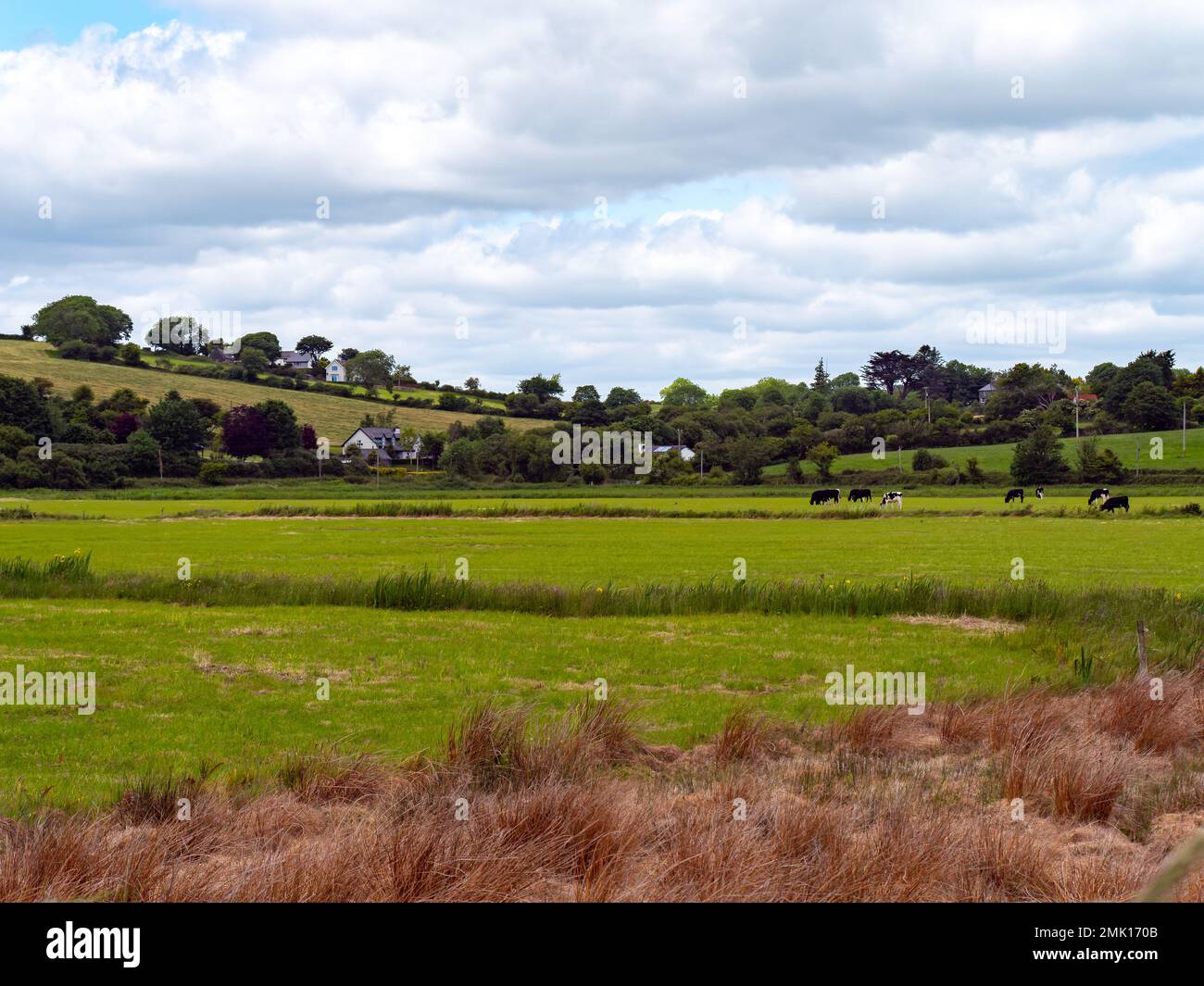 Green fields, beautiful sky with white cumulus clouds. Agrarian Irish ...