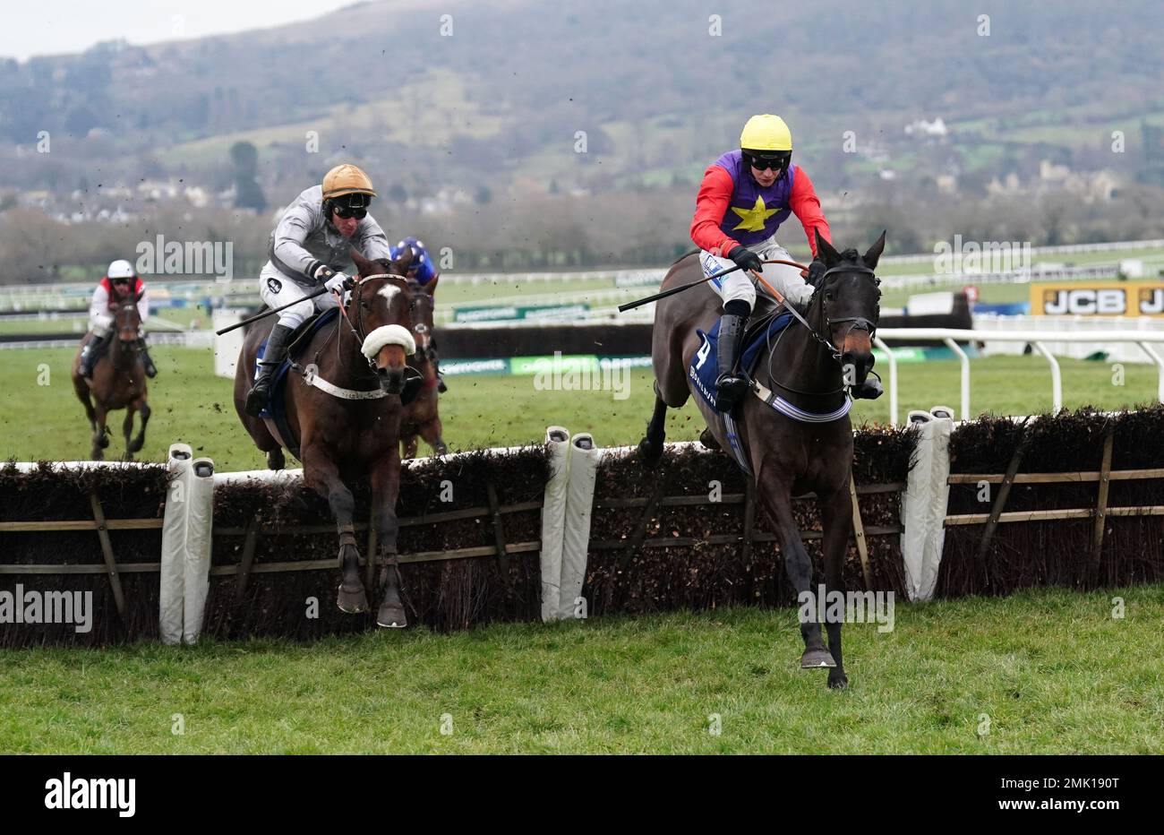 Gold tweet horse hi-res stock photography and images - Alamy