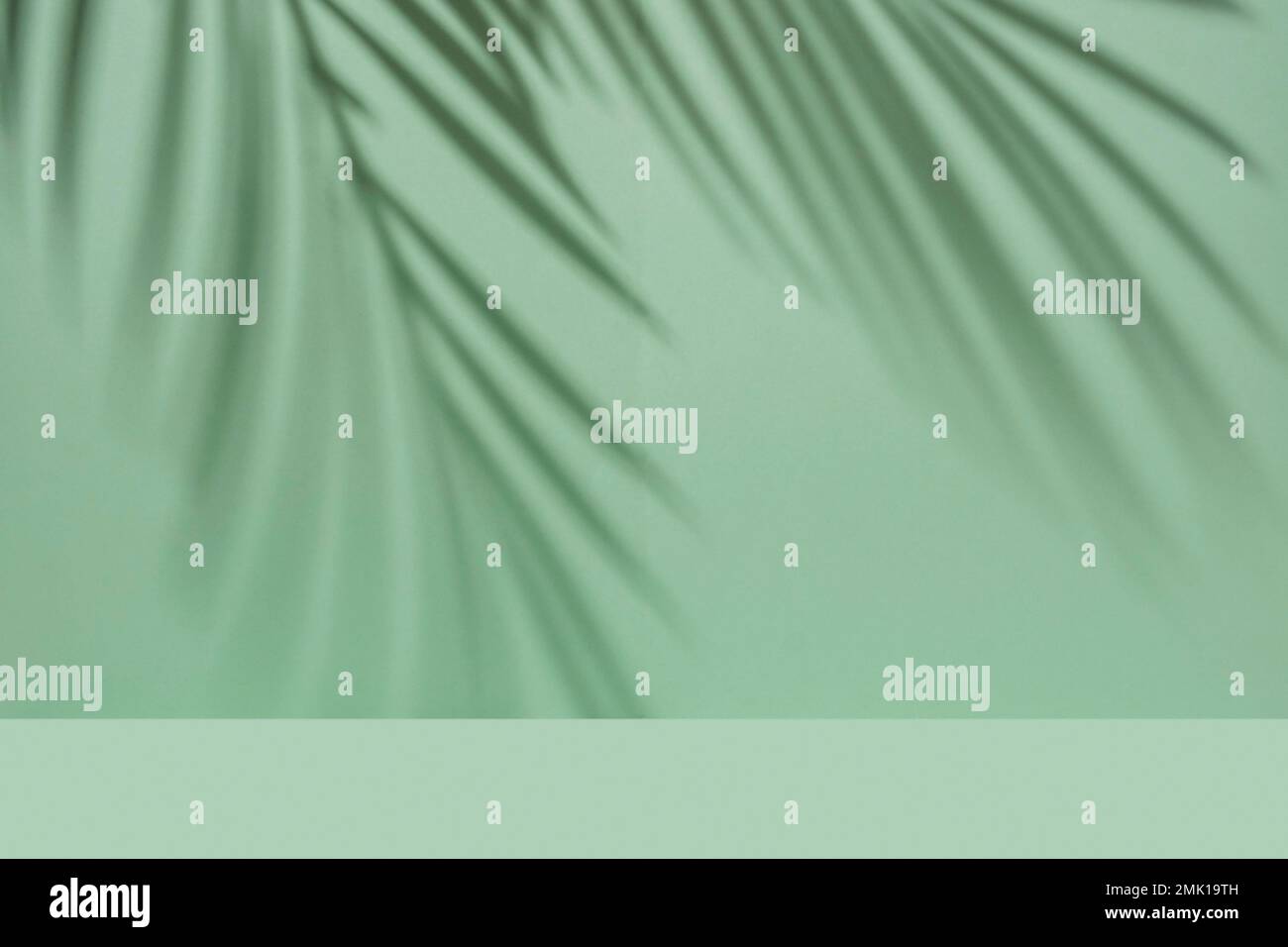 Shadow from a palm branch on a green mint background to show the ...