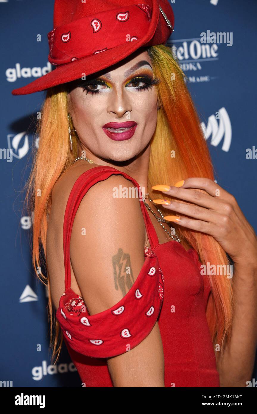 Rhea Litre attends the 30th annual GLAAD Media Awards at the New York ...
