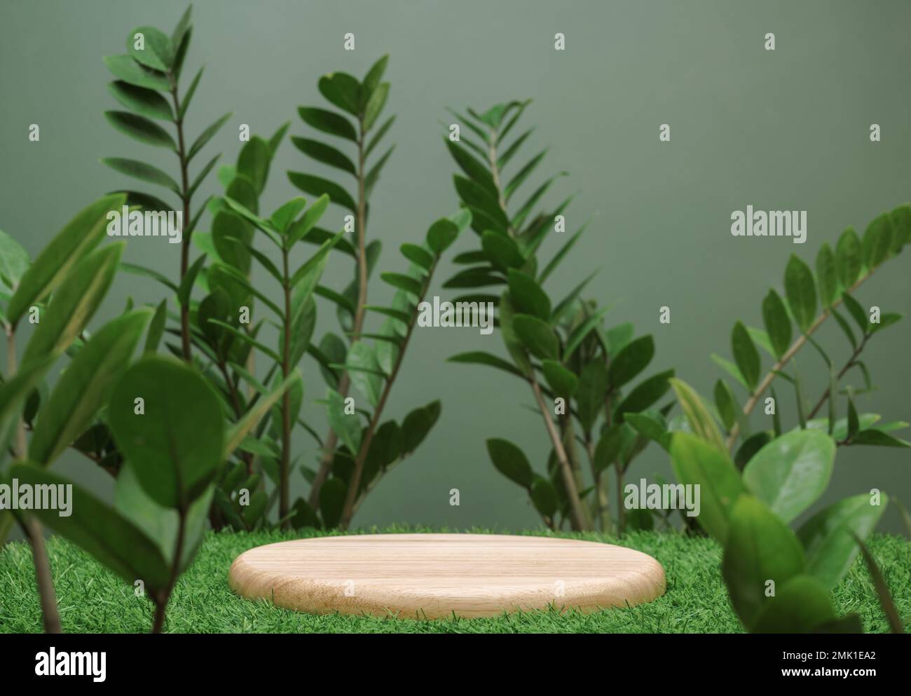 empty table top wood counter podium on grass tropic forest jungle plant ...