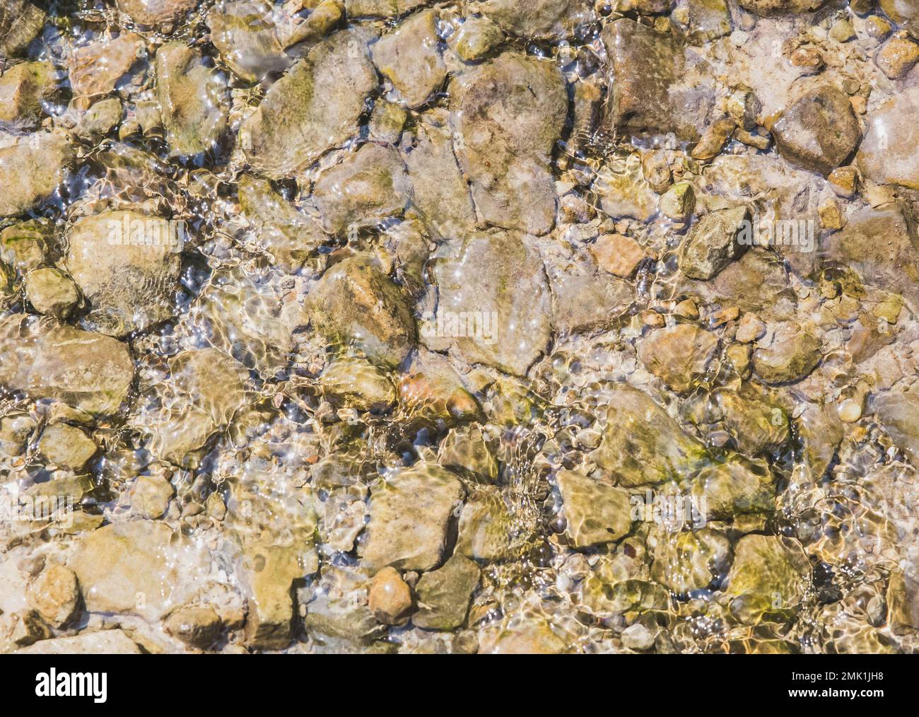 stone bottom in a mountain stream with clean water Stock Photo - Alamy
