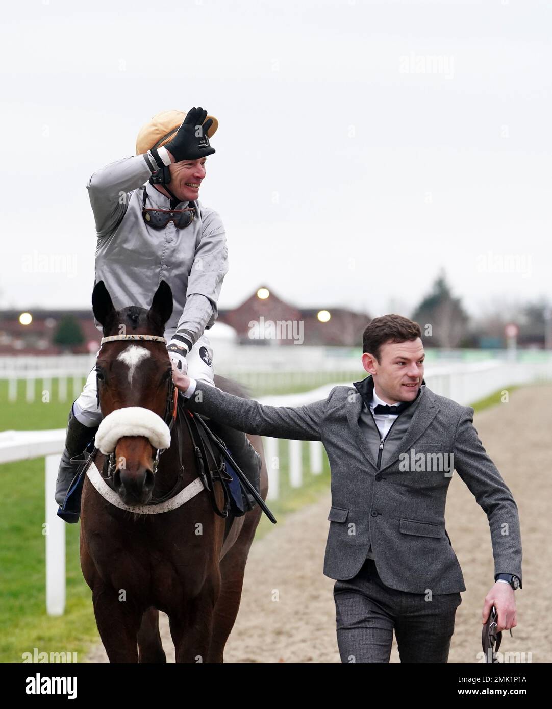 Gold tweet horse hi-res stock photography and images - Alamy