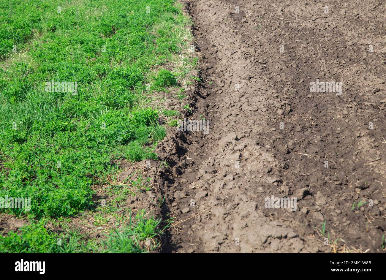 Plowed field black soil hi-res stock photography and images - Alamy