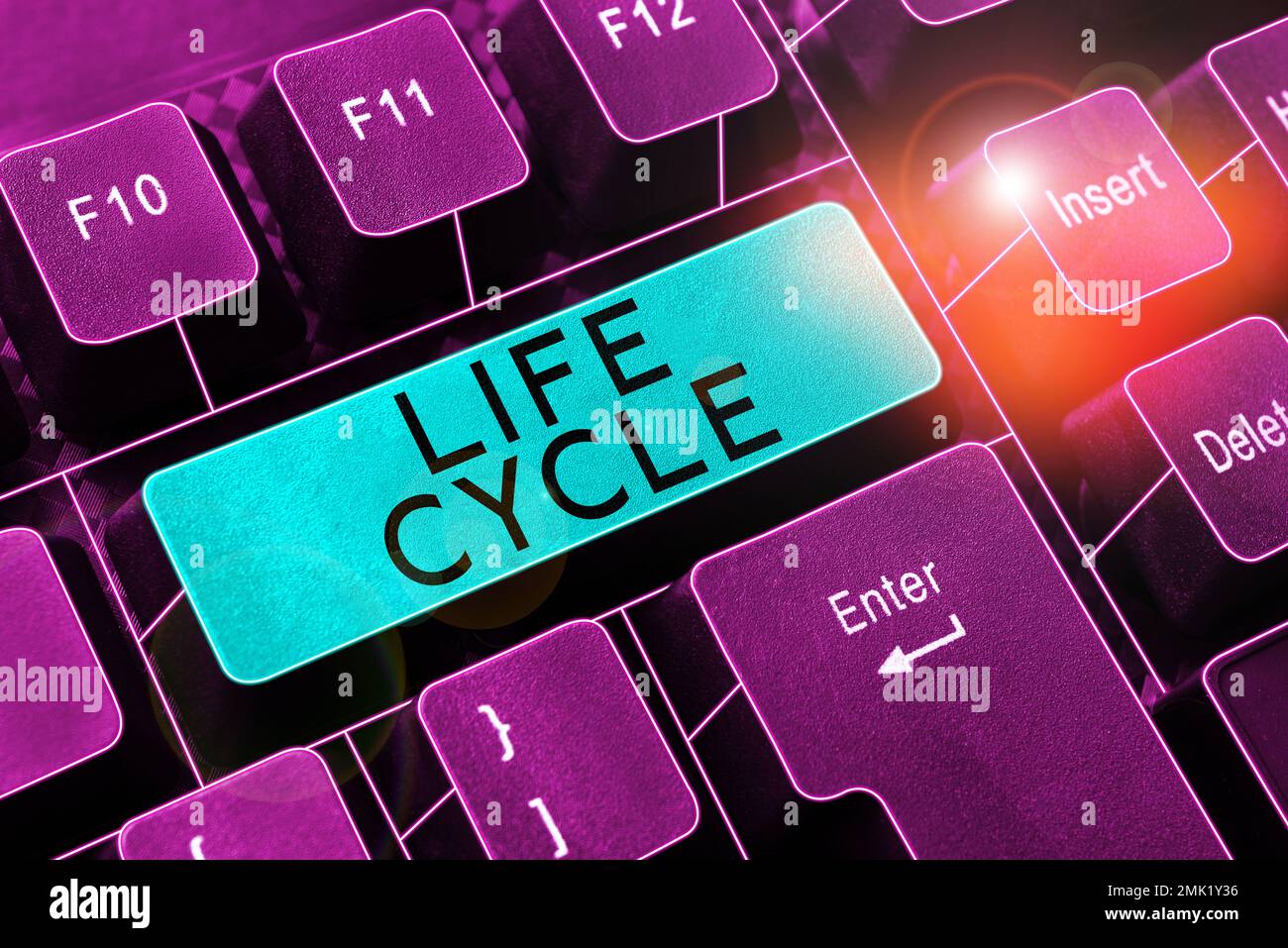Writing displaying text Life Cycle. Word for the series of changes in ...