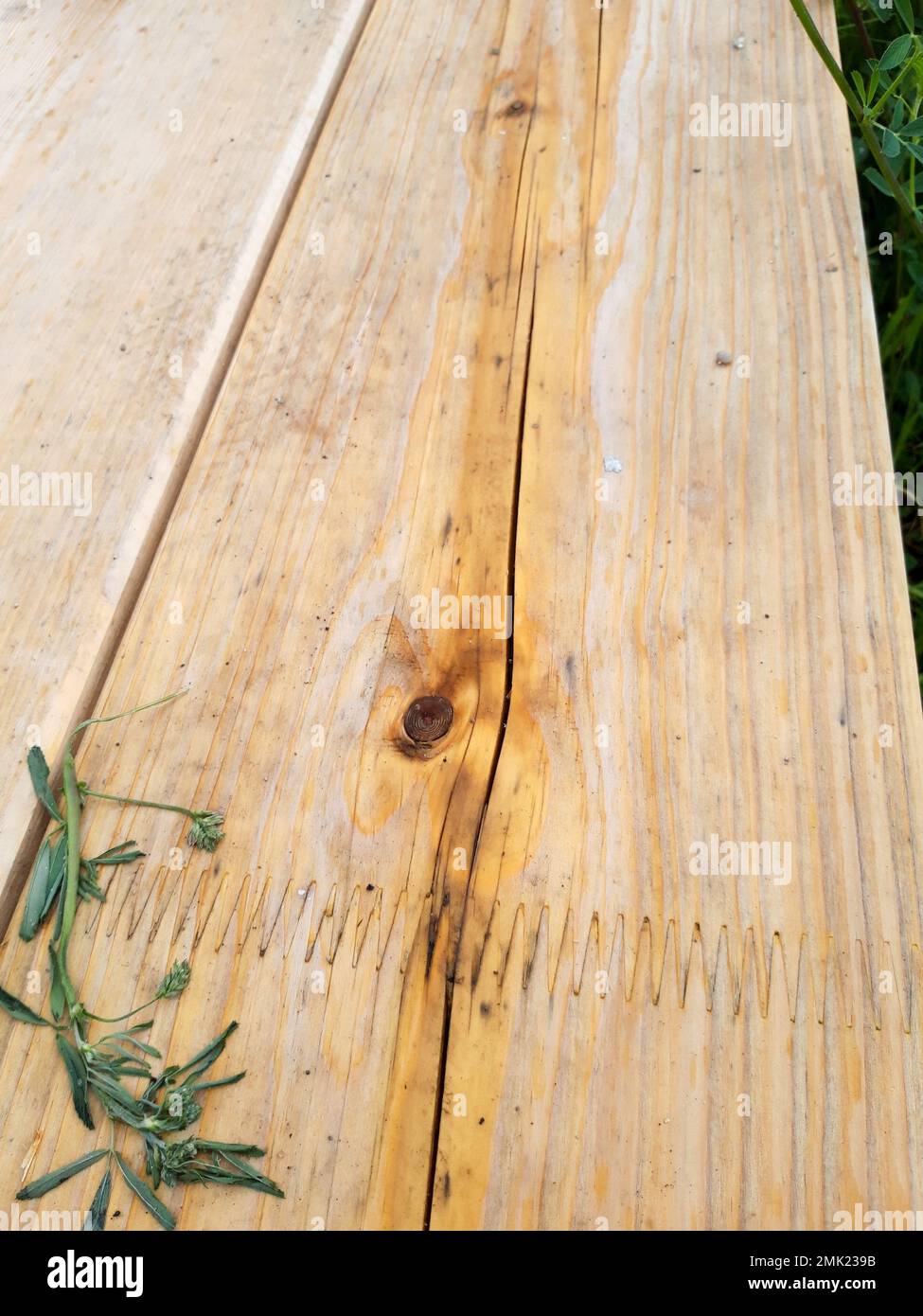 bungle in building a house Stock Photo - Alamy