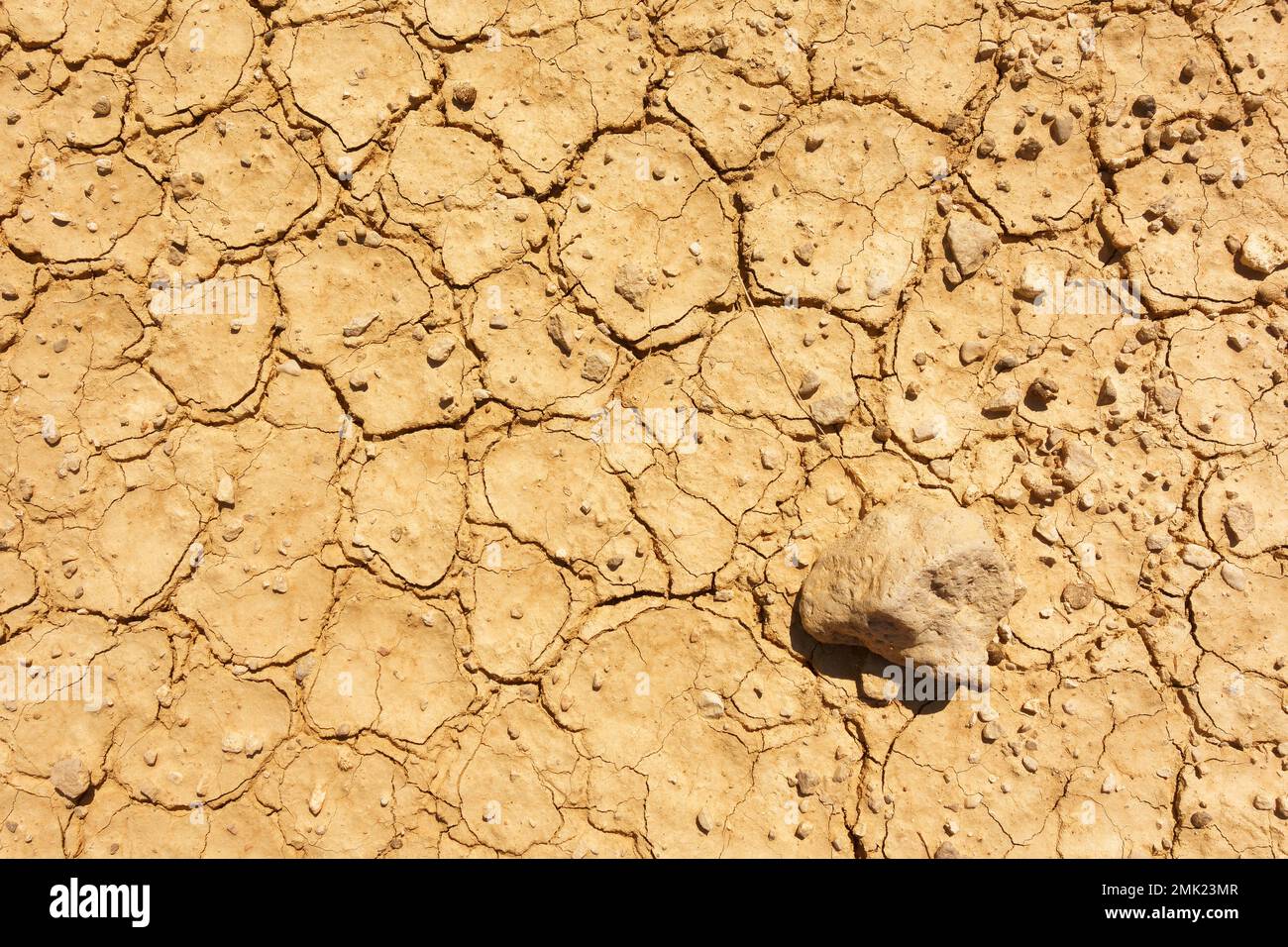Saragossa in magic light and Bardenas Reales - a landscape from another ...
