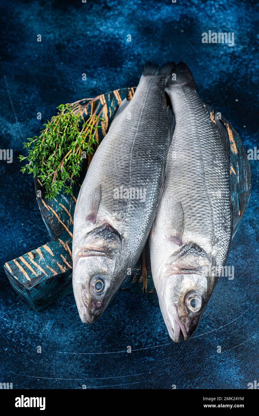 Uncooked Raw Sea Bass fish, Seabass with thyme. Blue background. Top ...