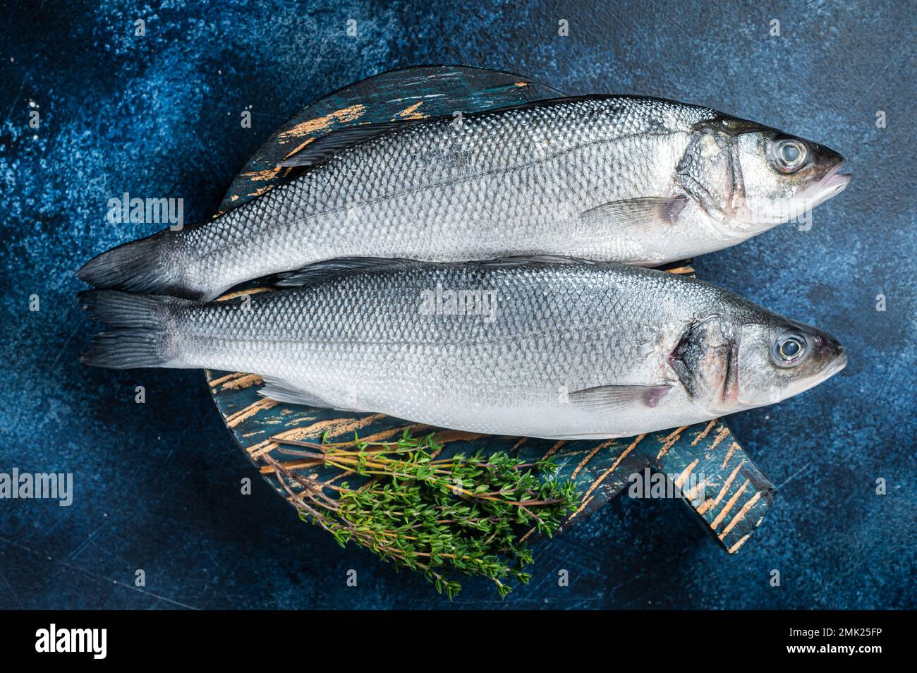 Uncooked Raw Sea Bass fish, Seabass with thyme. Blue background. Top ...