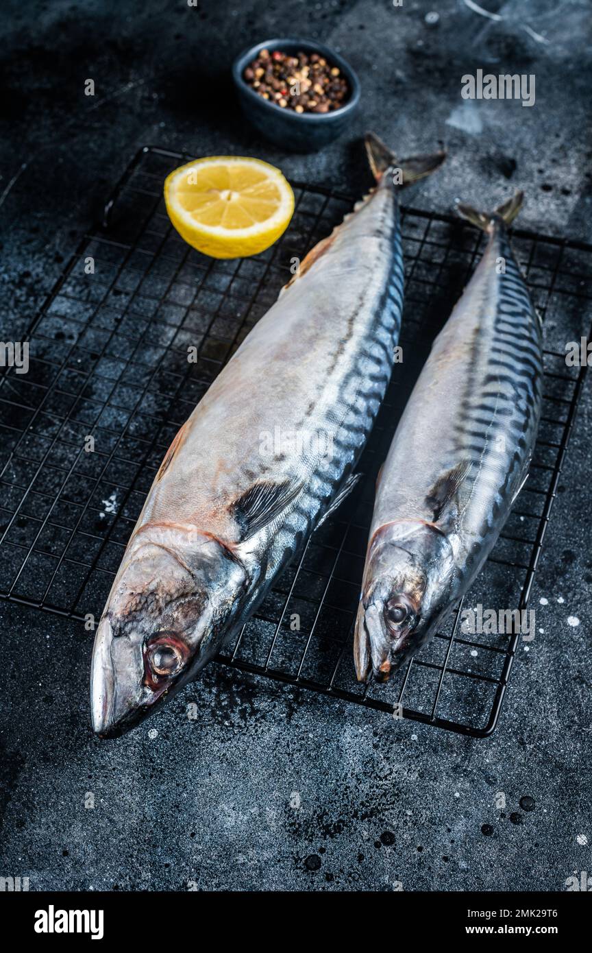 Fresh Raw mackerel scomber fish ready for grilling. Black background ...
