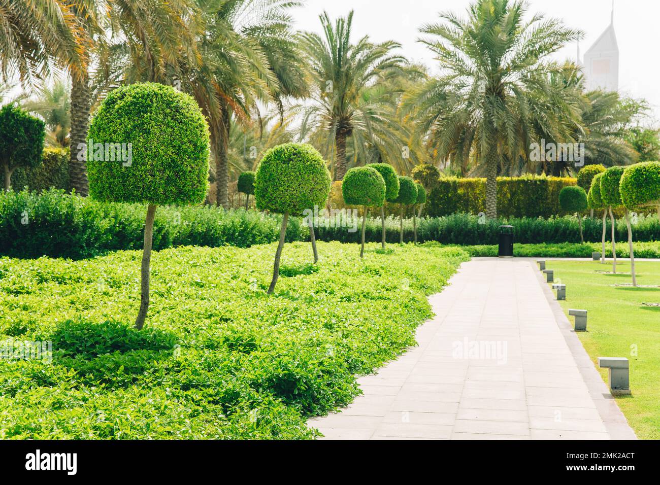 High quality photo. Walkway Lane Path With Green Trees And Palms In ...