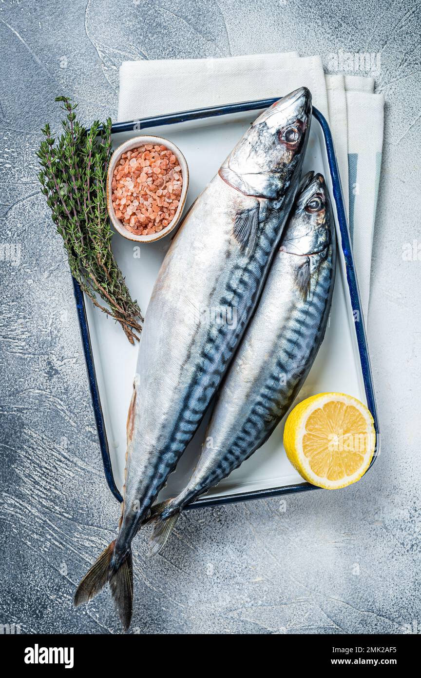 Raw mackerel scomber fish with ingredients for cooking in baking dish ...