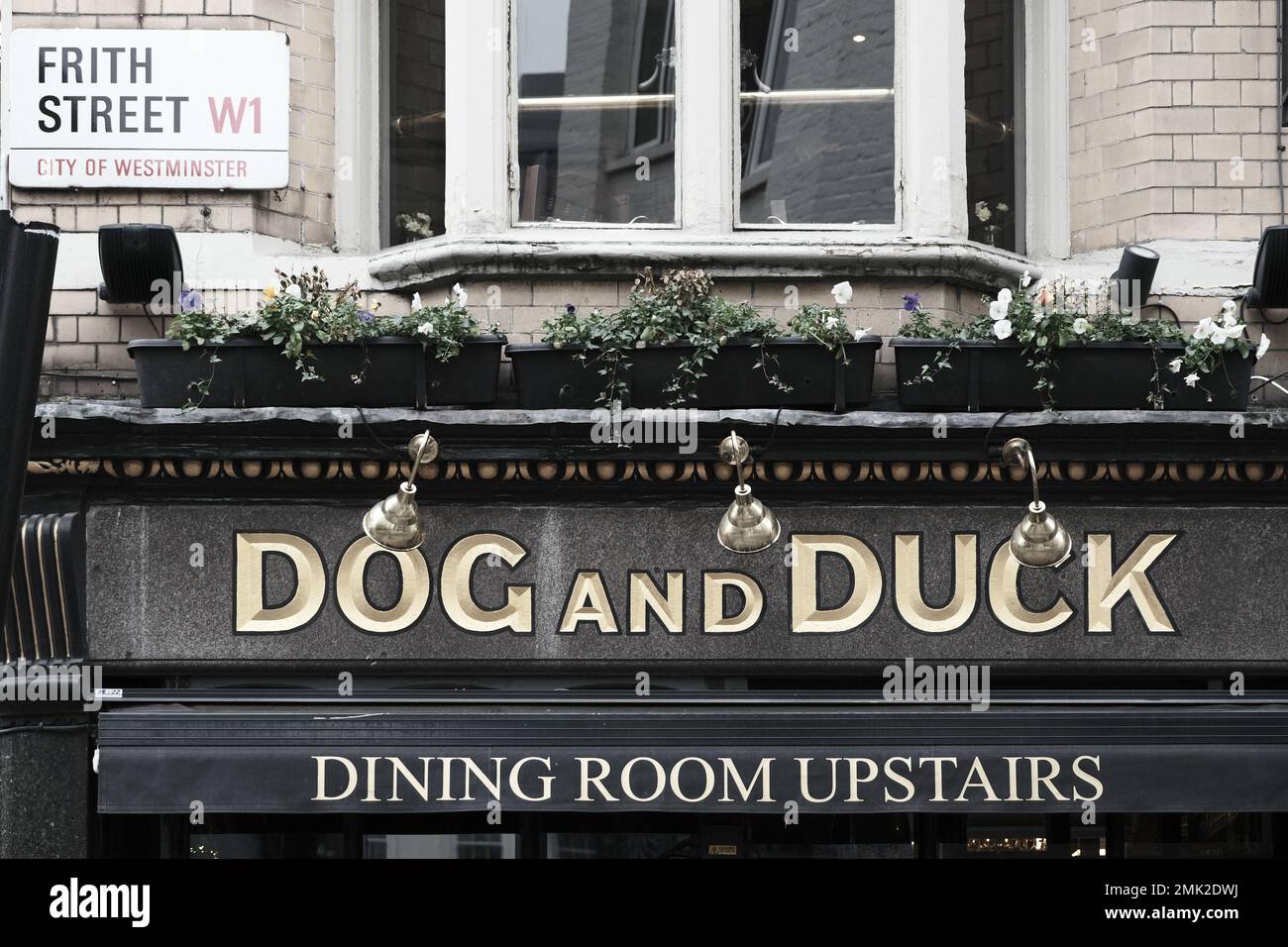 Dog duck pub sign hi-res stock photography and images - Alamy