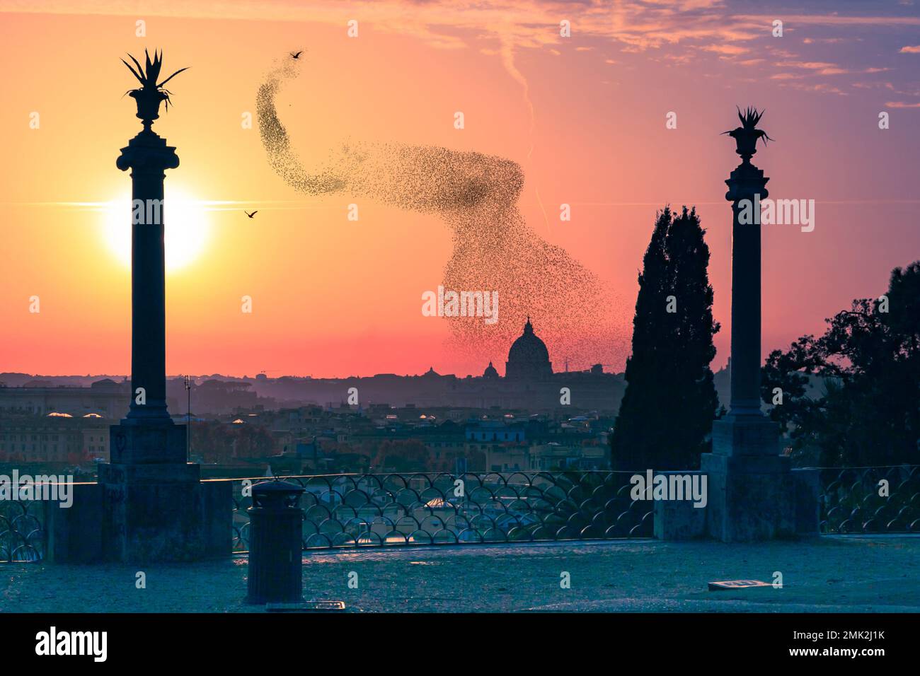 Flock of starlings above Saint Peter - Rome Stock Photo - Alamy