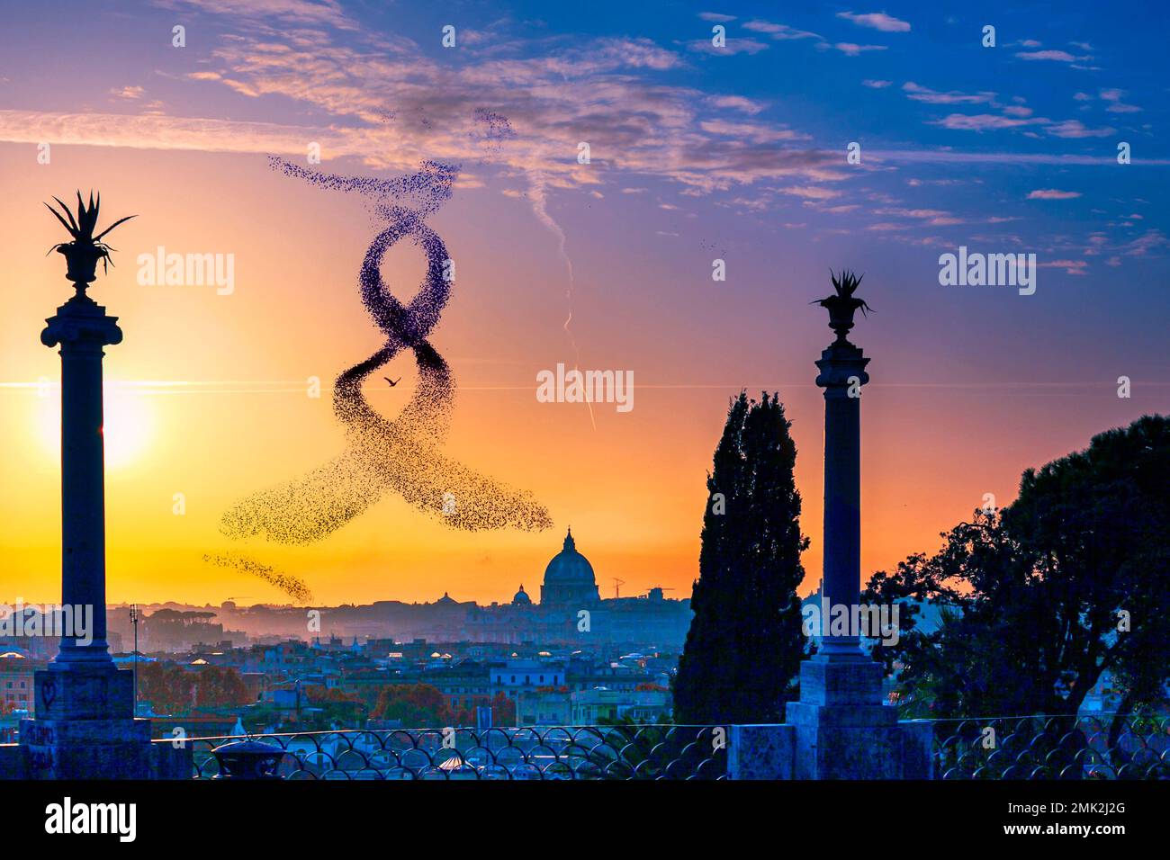 Flock of starlings above Saint Peter - Rome Stock Photo - Alamy