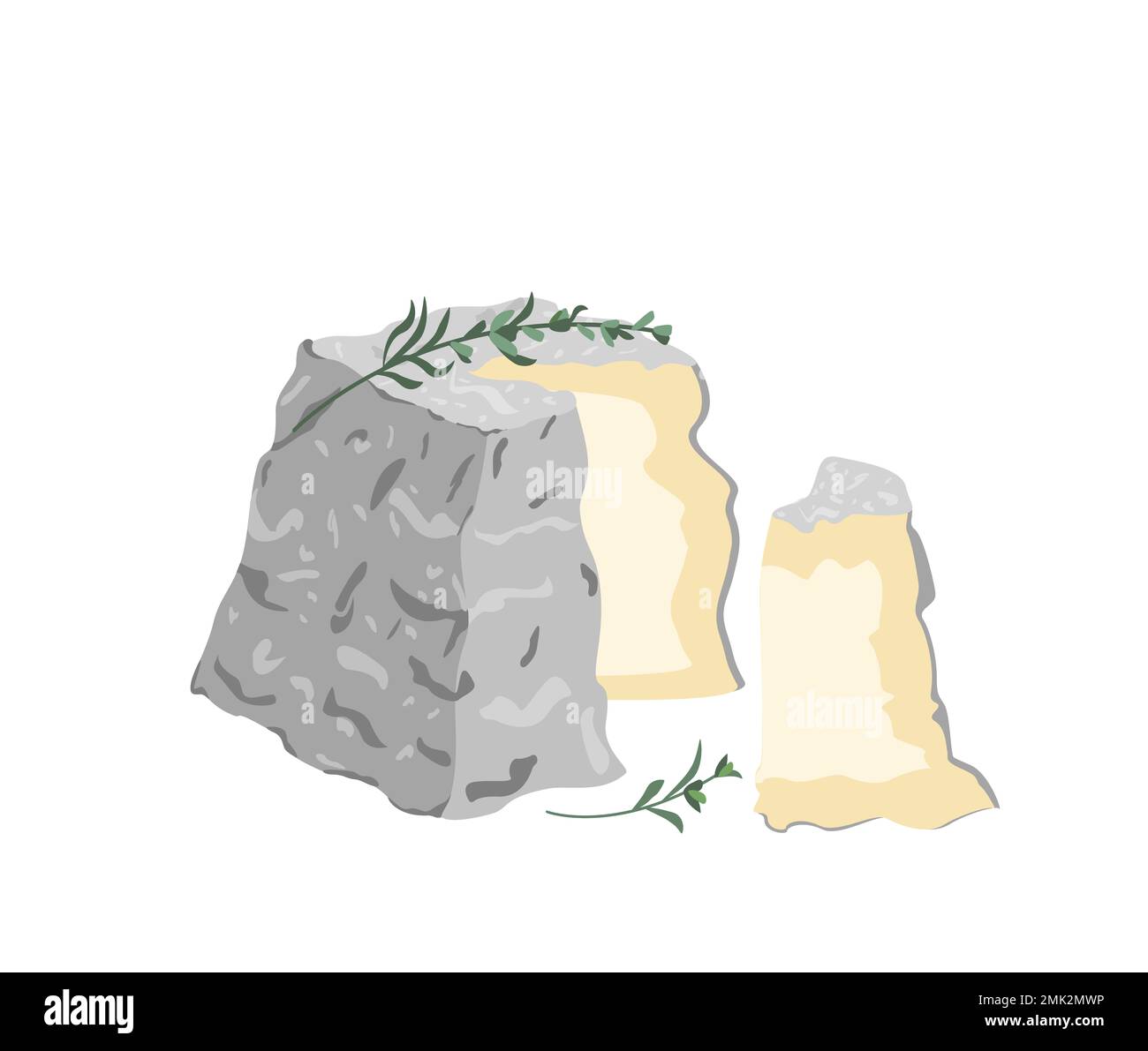 Gourmet French Valencay cheese with blue,white moldy rind, wrinkled ...