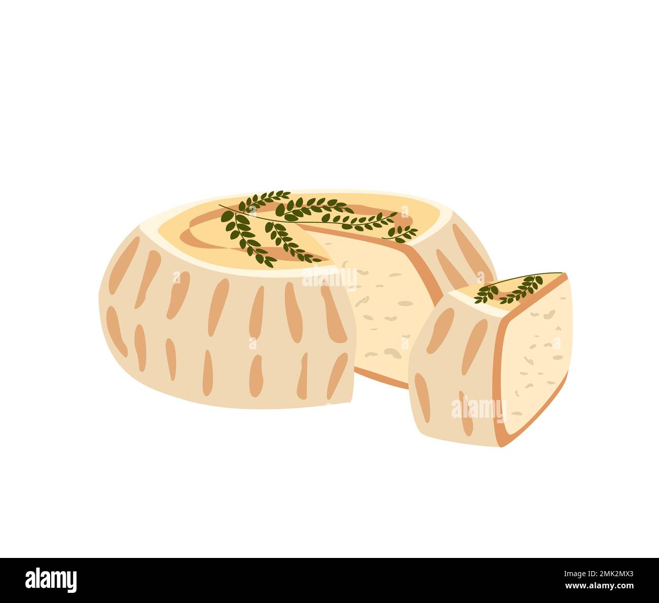 Soft cheese wheel of Filetta Corsica decorated with fern sprig. Whole ...