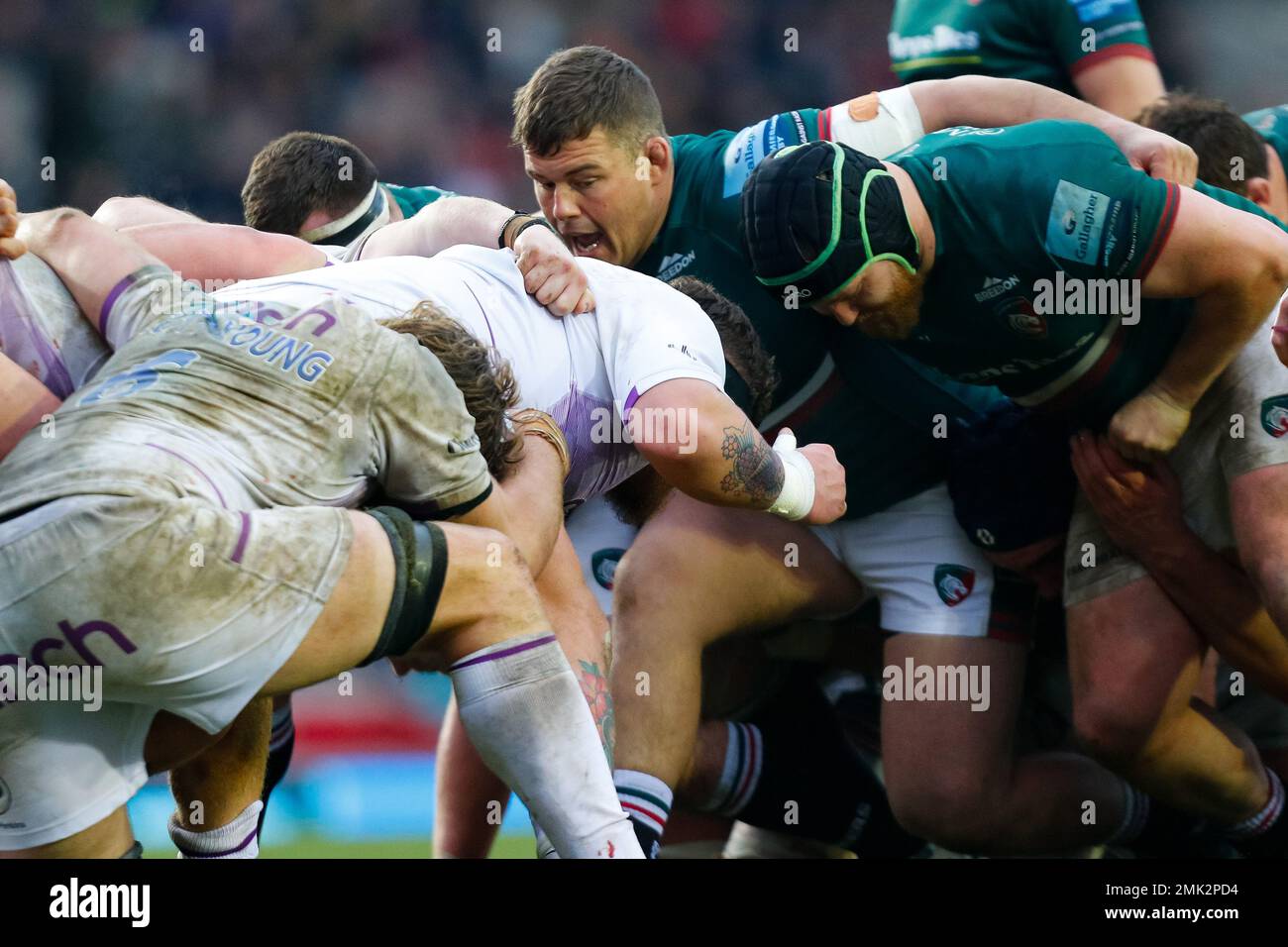 Charlie woods hi-res stock photography and images - Alamy