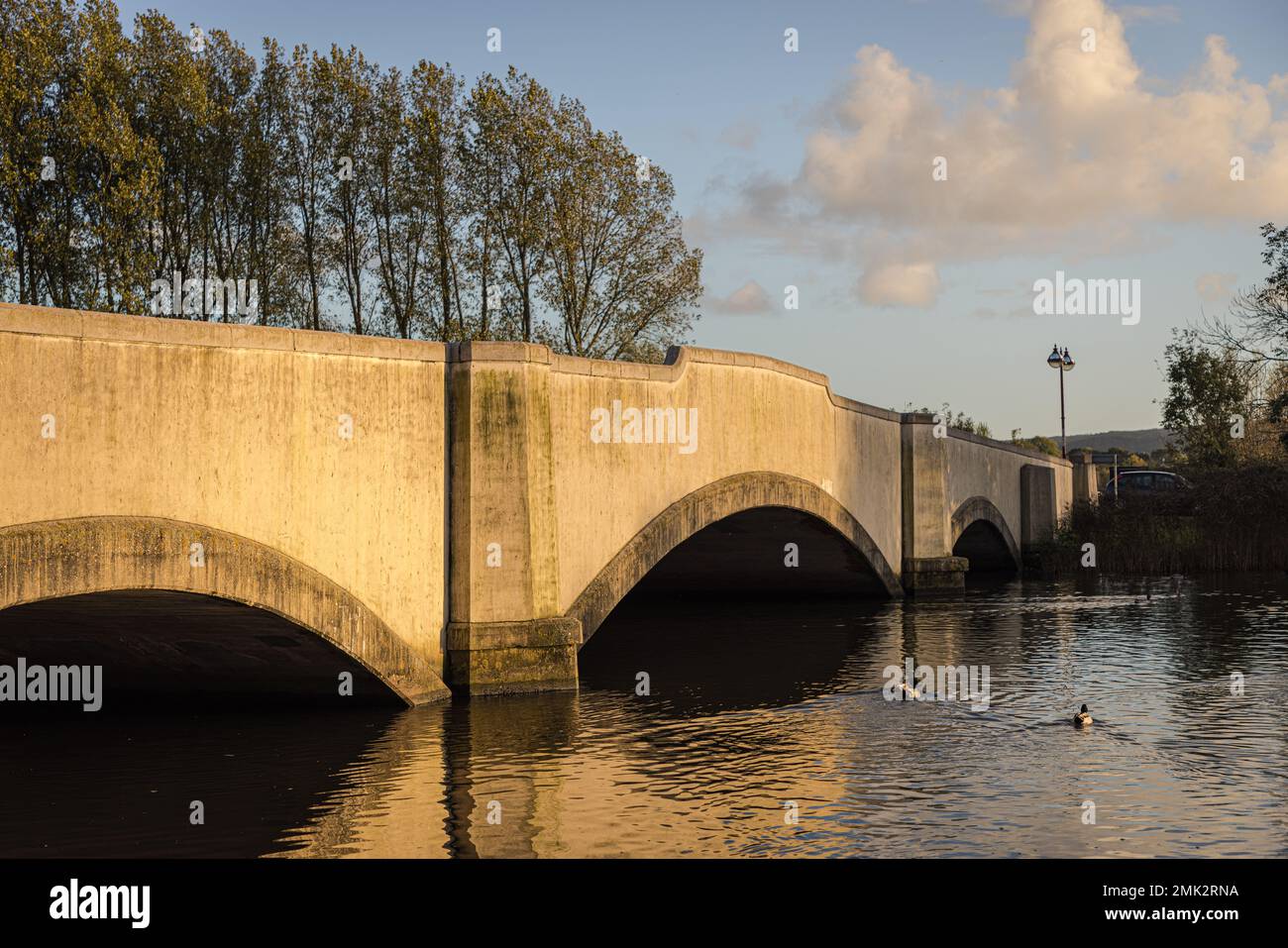 Wareham Bridge over the River Frome, Wareham, Dorset, England Stock ...