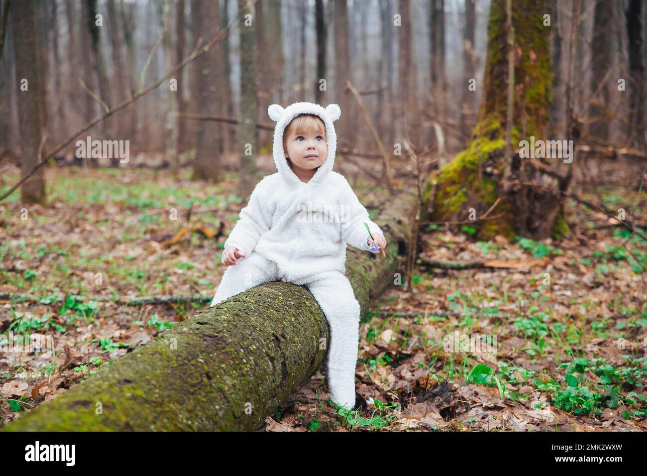 Adorable baby in a bear costume sitting on a fallen tree in the forest ...