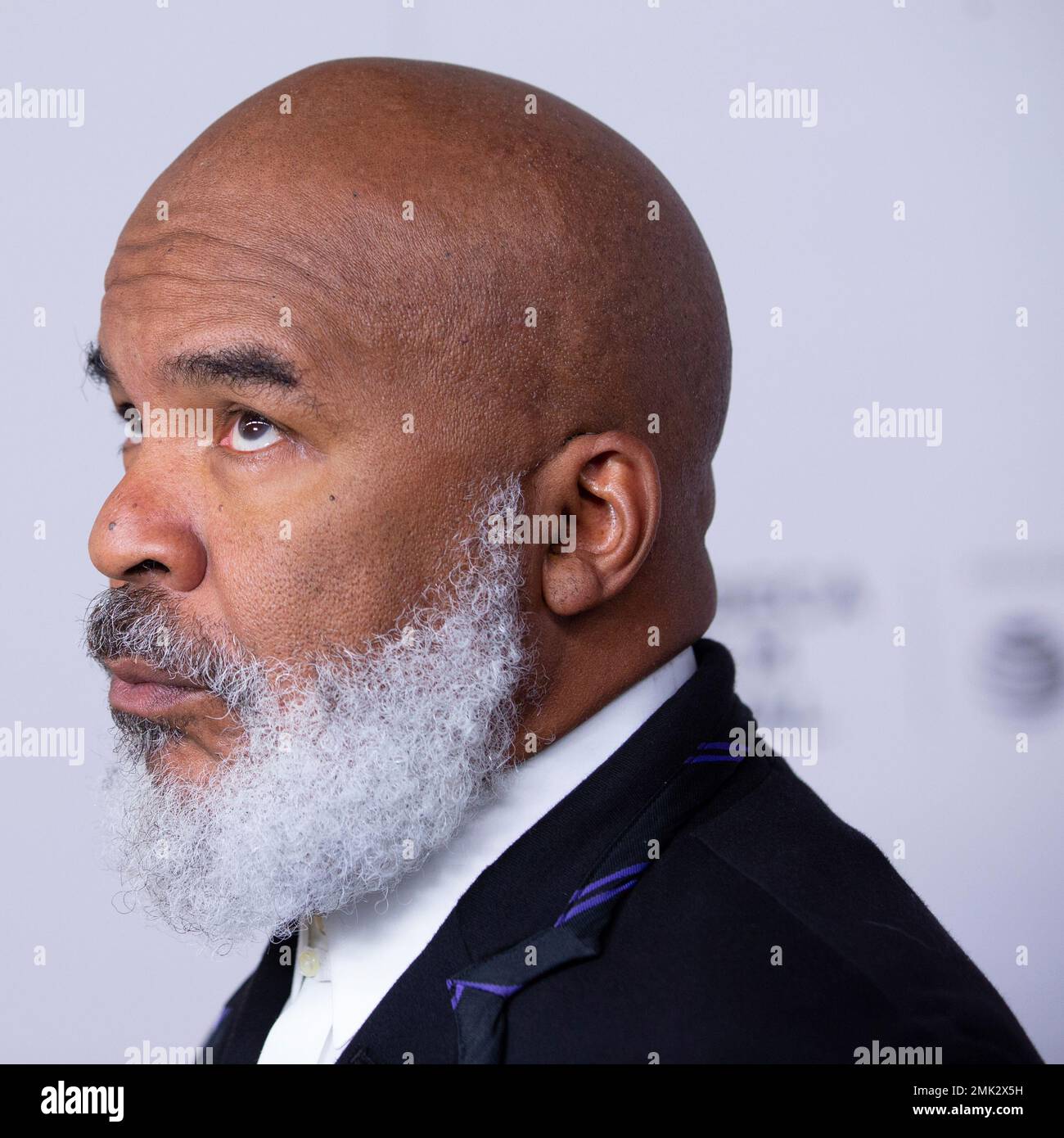 Actor/comedian David Alan Grier attends the screening for "Tribeca TV ...