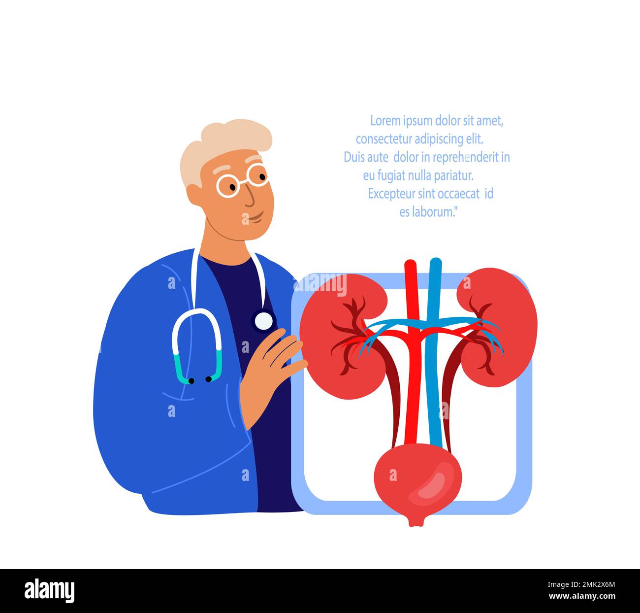 Doctor Nephrologist Scientist Examine,Diagnosing Inflamed Kidney,Renal ...