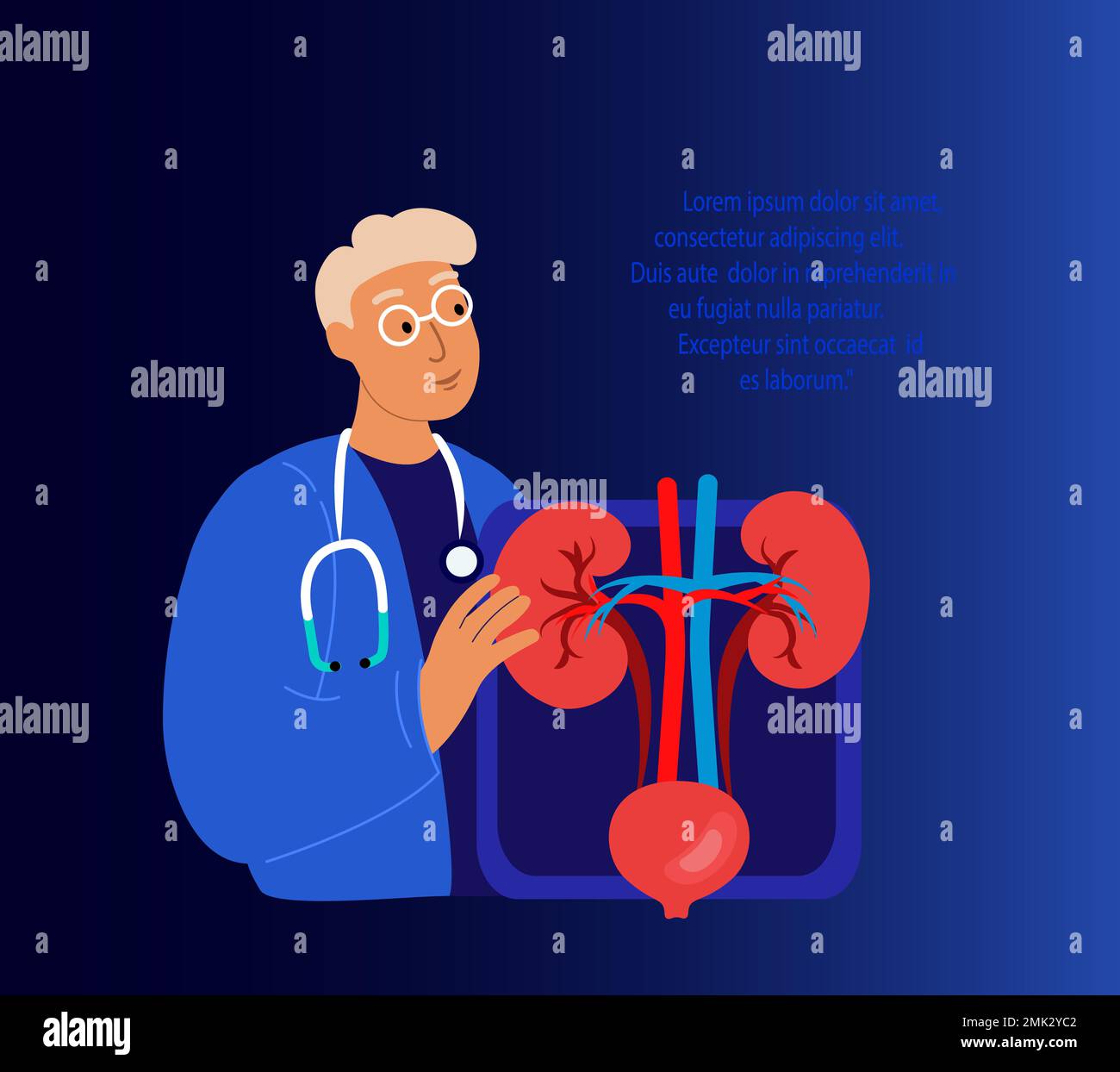 Doctor Nephrologist Scientist Examine,Diagnosing Inflamed Kidney,Renal ...