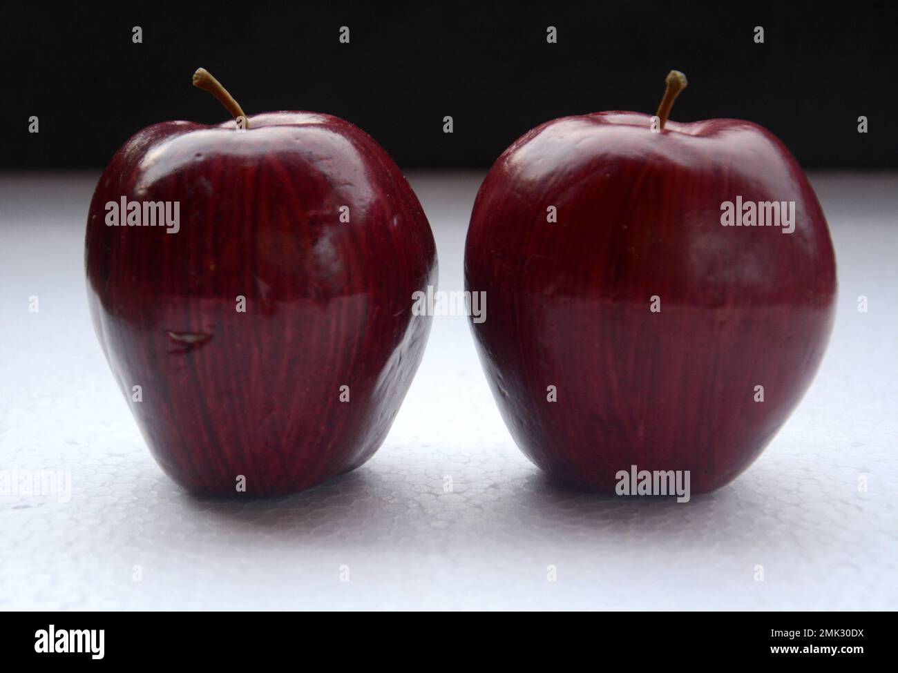 Close up photo of two colored apples that are ripe and ready to eat ...