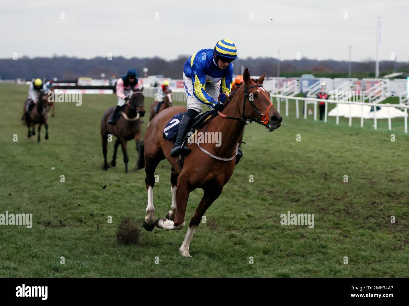 Beep beep burrow hi-res stock photography and images - Alamy