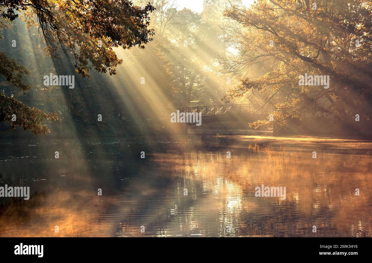 Misty landscape hi-res stock photography and images - Alamy